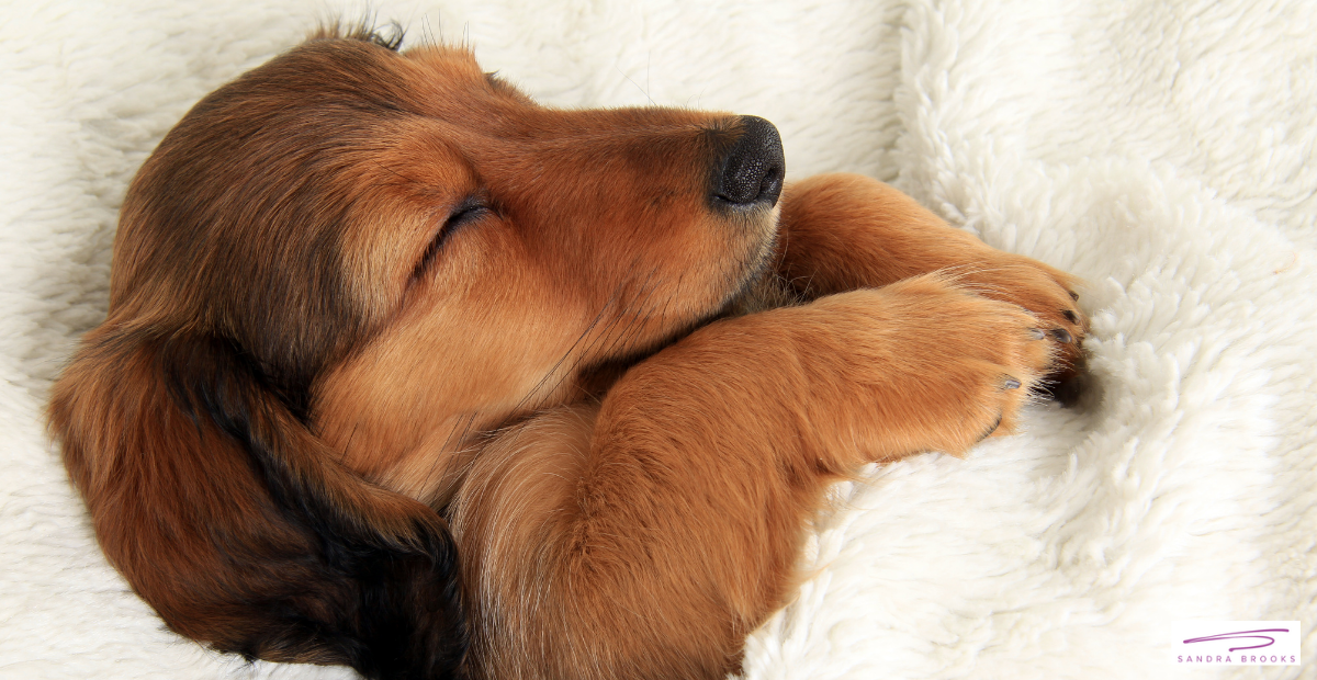 How to Improve Sleep Quality and Wake Up Refreshed - Sandra Brooks